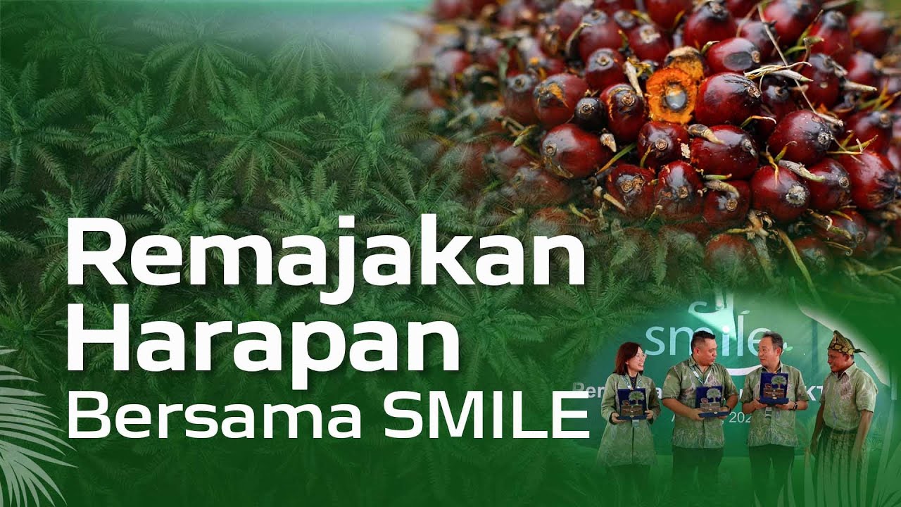 Success with SMILE Programme: Empowering Independent Oil Palm Smallholders in Tebing Tinggi