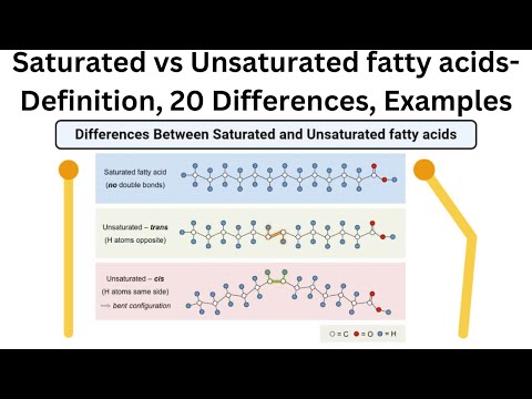 Saturated vs Unsaturated fatty acids Definition, 20 Differences, Examples