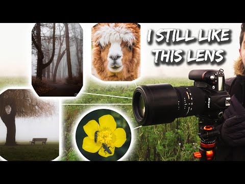 Sigma 70-300mm Lens review & sample photos | Nikon D90