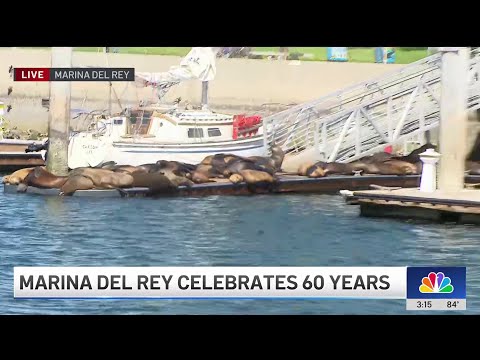 Marina del Rey turns 60 years old