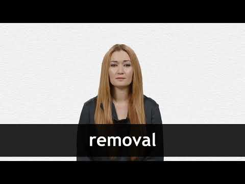 REMOVAL definition and meaning | Collins English Dictionary