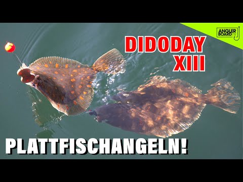 DiDoDay XIII | Angeln auf Plattfisch | Angelkutter Ostsee | Schollenangeln | Angeln vor Fehmarn