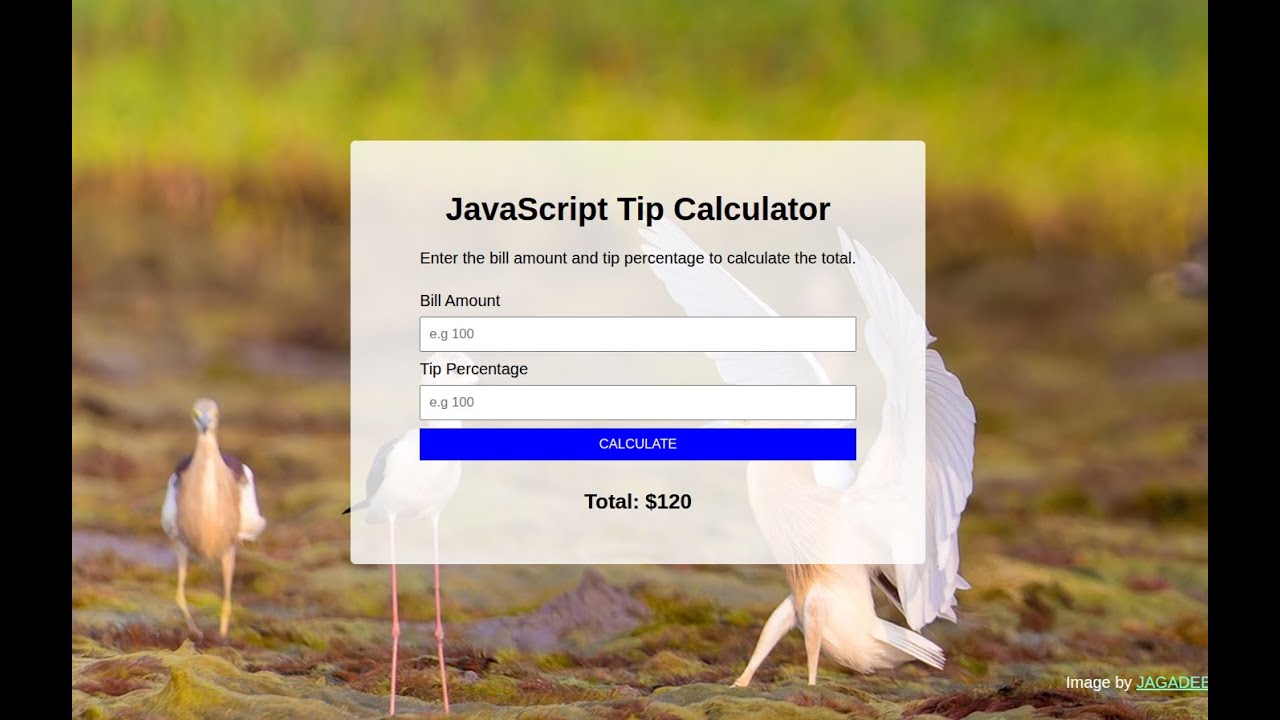 Build a Tip Calculator with HTML, CSS & JavaScript | Beginner JS Project Tutorial | TechWithTwin