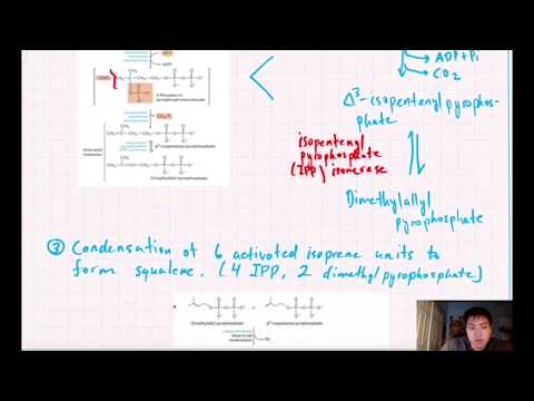 Biochemistry-Cholesterol I, UNM BIOC 446