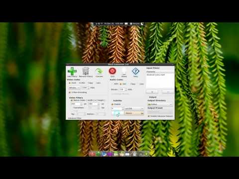 MEncoder GUI, Convert Videos  - DivX Converter - Ubuntu 9.10