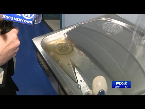 Wyckoff Gardens NYCHA residents say water is dirty in their complex