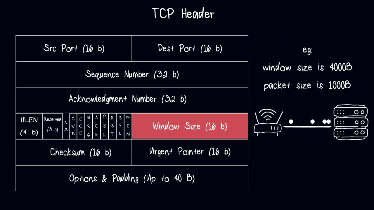 Understanding the Anatomy of a TCP Segment | Galaxy.ai