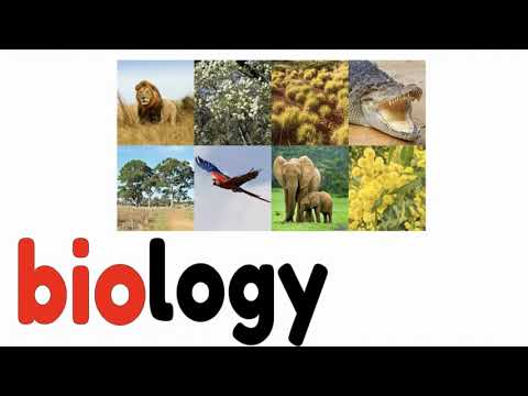 Root Word of the Week -ology