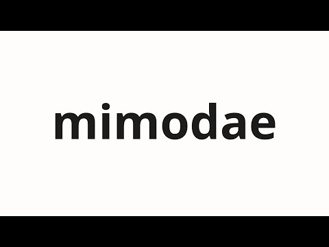 How to pronounce mimodae | 身悶え (Writhing in Japanese)