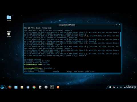 Using the netstat command to track detailed network statistics