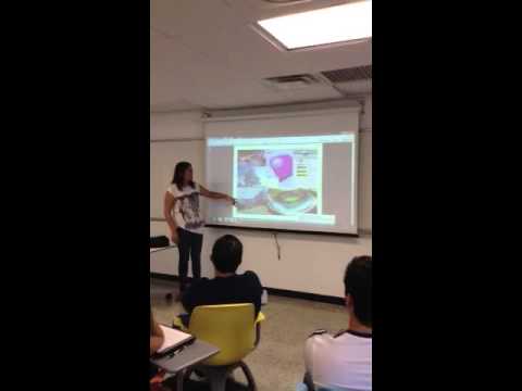 English ilse
