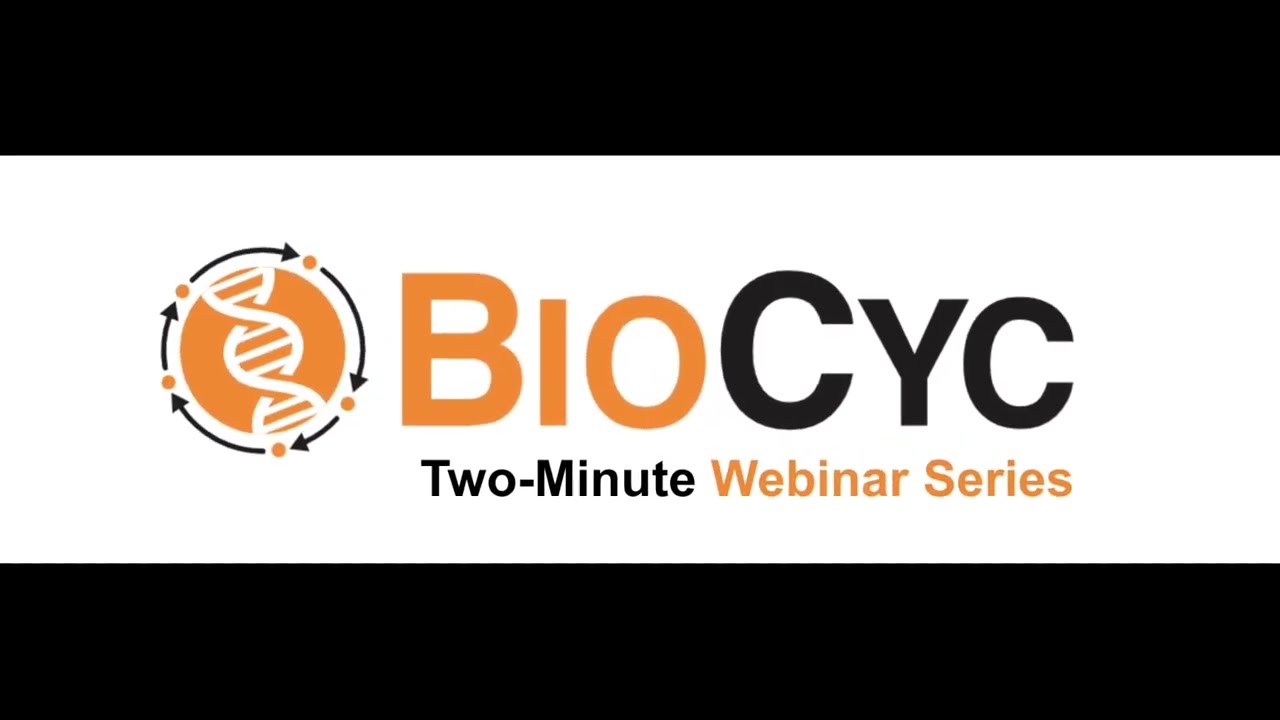 Produce a multiple sequence alignment
