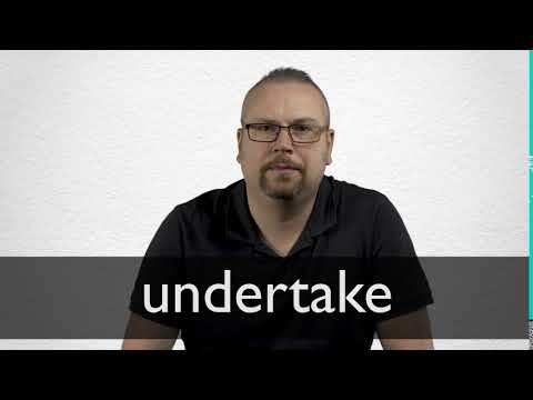 UNDERTAKE - Meaning & Translations | Collins English Dictionary