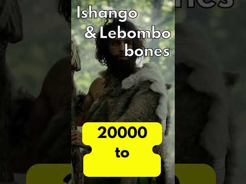Ancient Mathematical Bones? | History of Mathematics