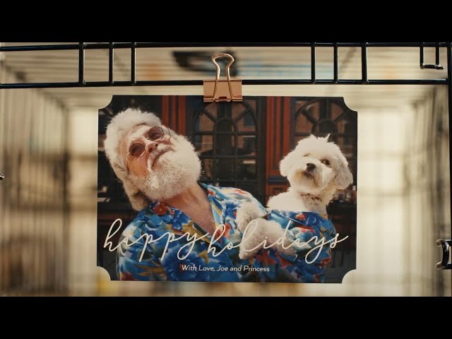 Shutterfly: Let the Good Fly - adsofbrands.net