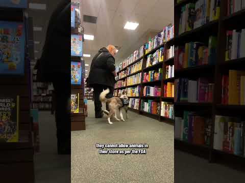 Walmart is not pet friendly people👏🏻👏🏻👏🏻 #servicedogs #walmart #viral #shorts #dogs #dog