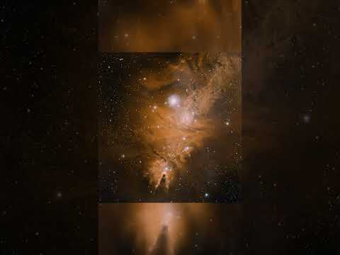 NGC 2264 || Fox Fur Nebula || #shorts