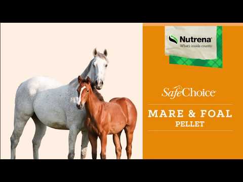 Nutrena SafeChoice Mare and Foal Pelleted Horse Feed