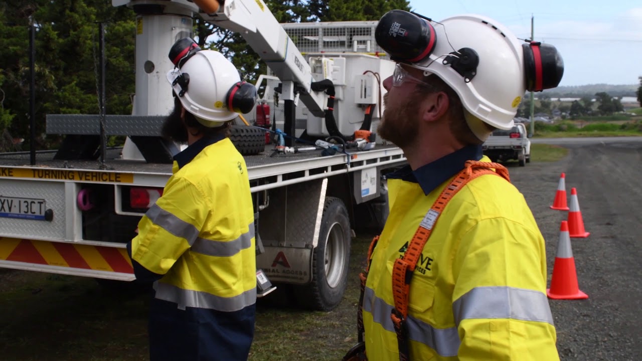 Active Trees   Role play 1