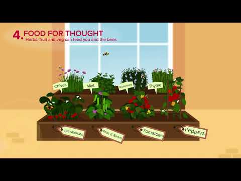 Redrow Homes Bumblebee Tip 4