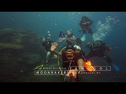 Independence Day Dive at Moonraker Tenggol Island