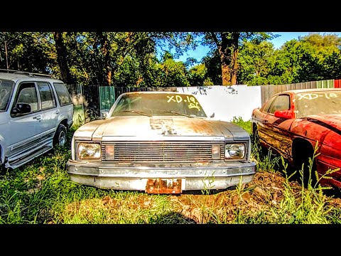 Last Year To Get A 3 On The Tree? 1979 Chevy Nova Junkyard Find