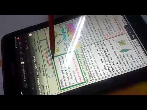 photosynthesis worksheet no. 10