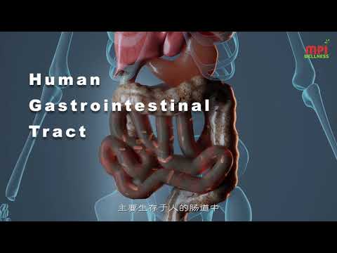 MPI Probiotics