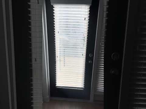 (Honest Review) Window Blinds