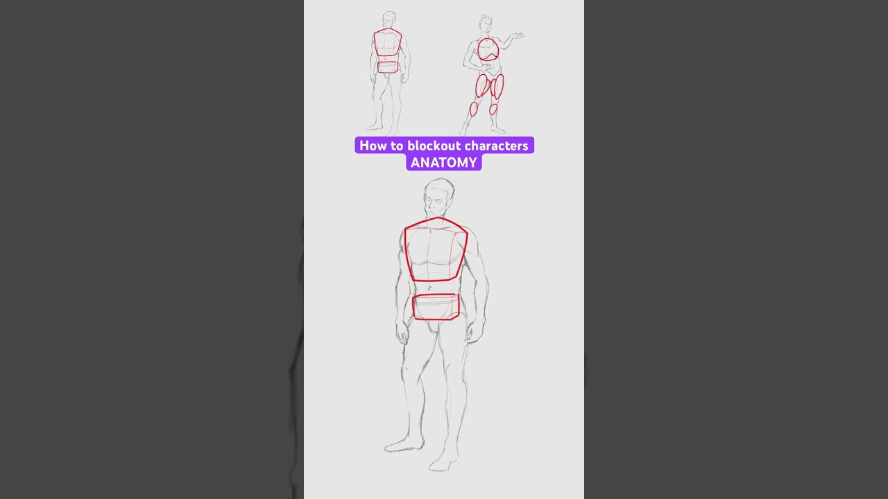 How to blockout characters ANATOMY 🎨 #drawing #anatomy #art #digitalart #procreate #howtodraw