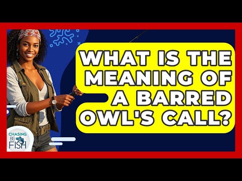 What Is The Meaning Of A Barred Owl's Call? - Chasing Big Fish