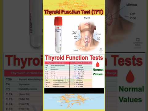 Thyroid Function Test | TFT Test Thyroid Hormone Test #tft #tsh #thyroidfunctiontest #thyroidtest