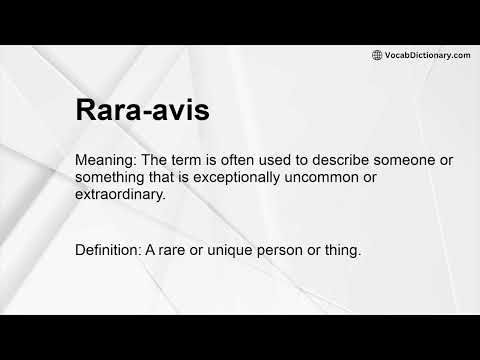 Rara-avis Meaning