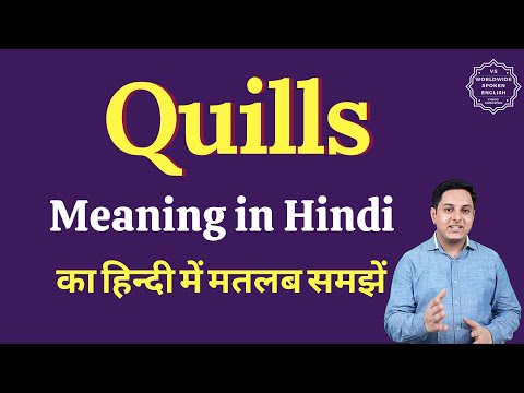 Quills meaning in Hindi | Quills ka matlab kya hota hai | English vocabulary words