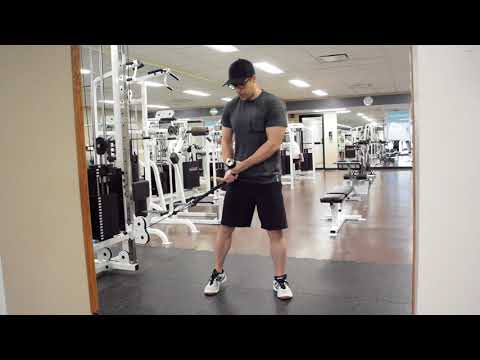 Standing Rotational Reverse Chop | myworkouts.io