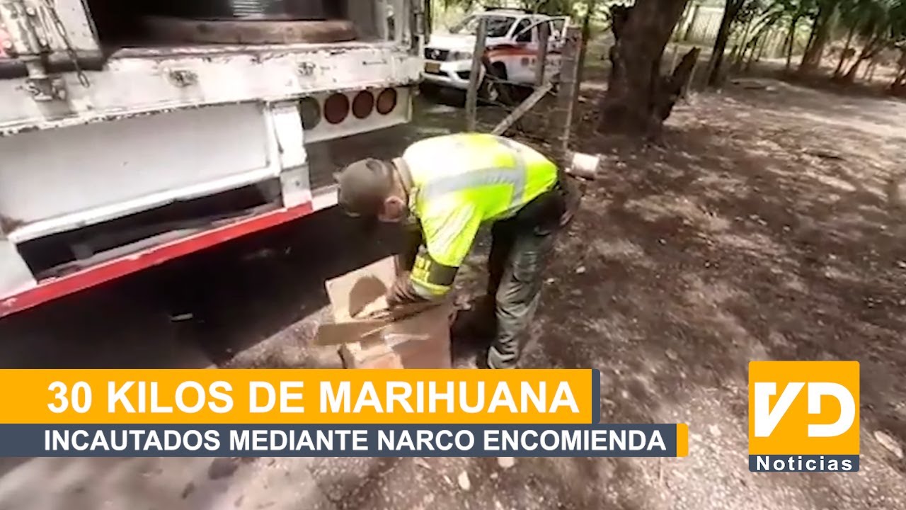 EN LA DORADA 30 KILOS DE MARIHUANA FUERON INCAUTADOS MEDIANTE NARCO ENCOMIENDA