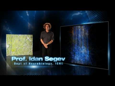 Hebrew University- ICNC