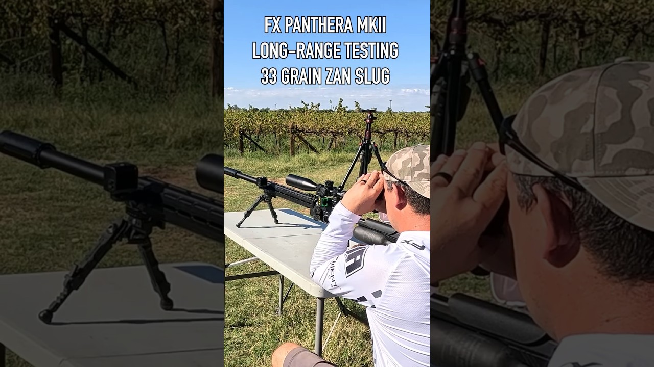 Pruebas de largo alcance de la FX Panthera MKII | Balas Zan de 33 granos #fxairguns #elementoptics