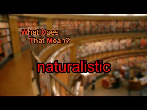 What does naturalistic mean?