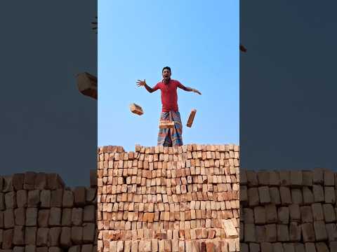 Bricks are being lifted very high in the brick kiln.