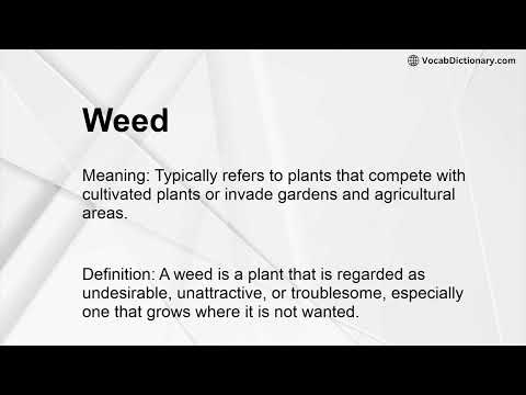 Weed Meaning