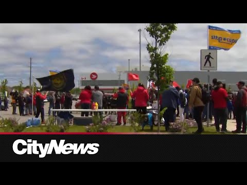 Thousands rally across Canada as tensions rise between postal workers and Canada Post