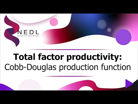 Total factor productivity explained: Cobb-Douglas production function (Excel)