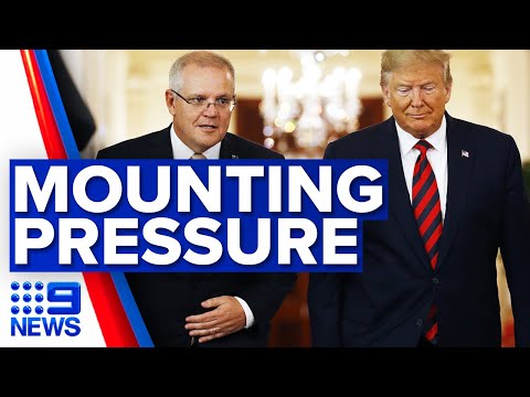 Labor urges Scott Morrison to contact Donald Trump: US Election | 9 News Australia