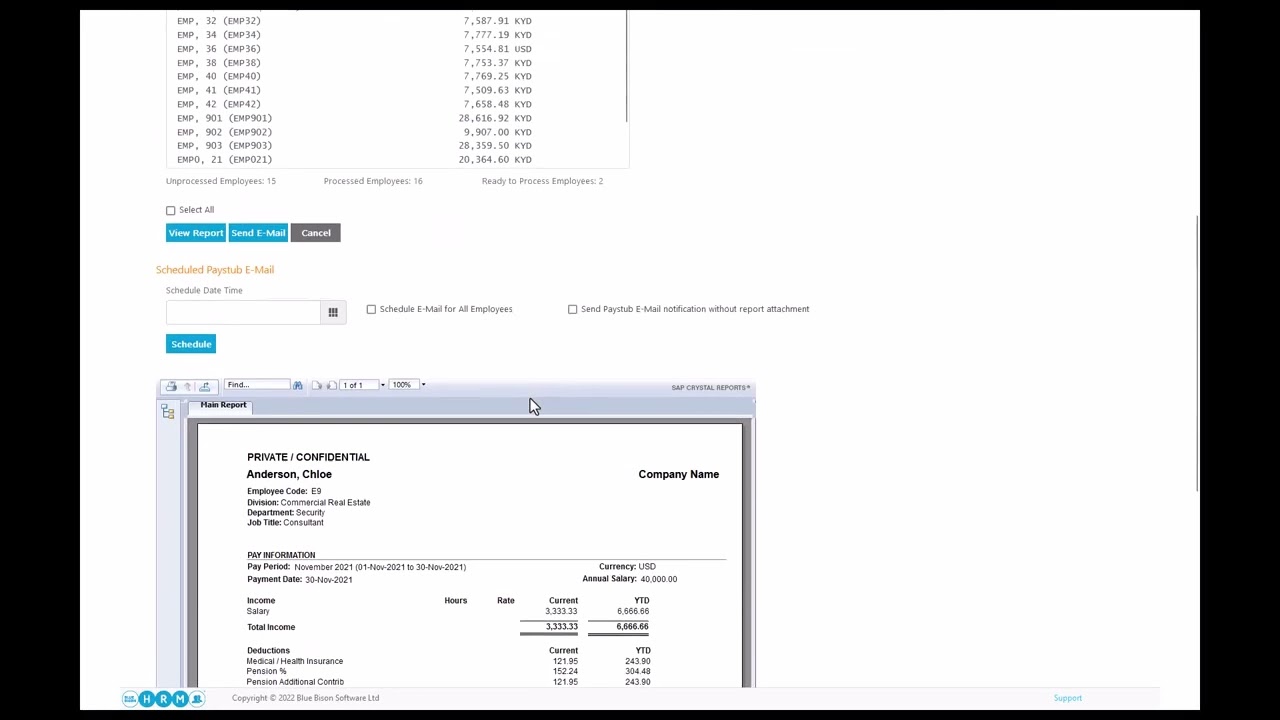Blue Bison Software Demonstration