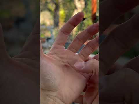 Strengthen Internal Organs | Press This Acupressure Point (PC8) Daily #shorts