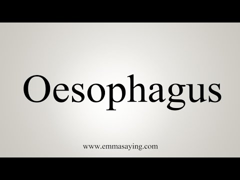 How To Say Oesophagus