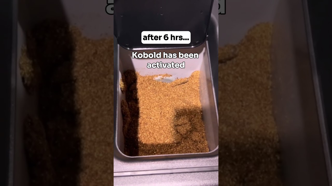 How-to Hub 1| How to start kobold