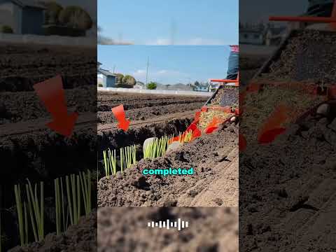 The inventor of cellular network seedlings is a genius