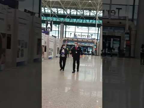 rome international airport